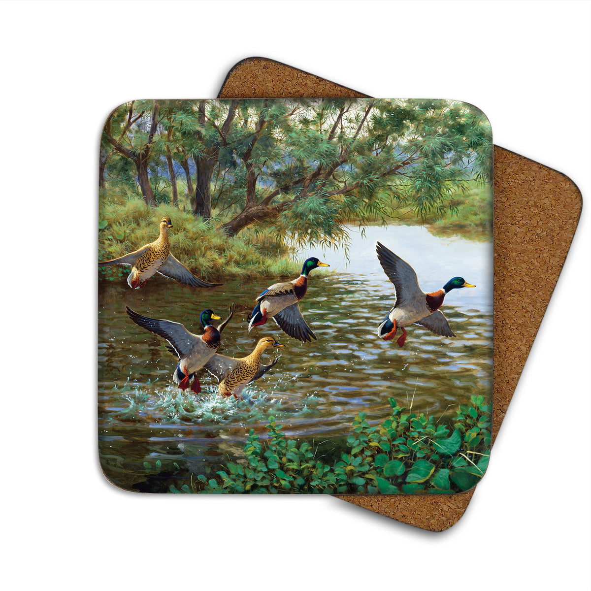 Mallard Rising Coasters | Julian Friers – Julian Friers Wildlife Gifts