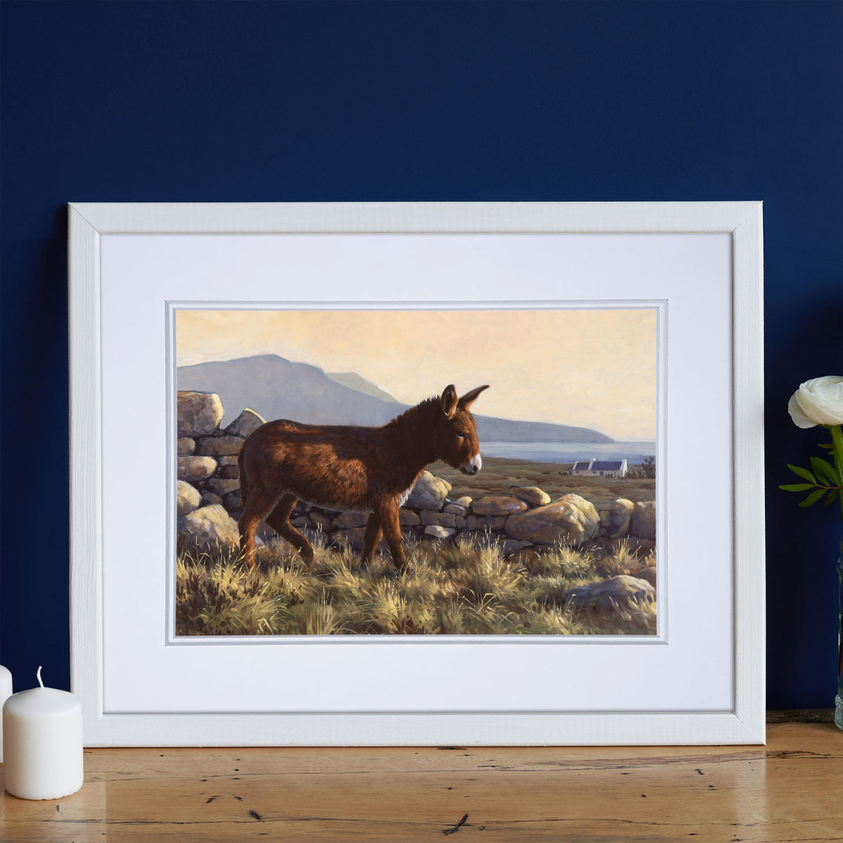 Donkey Fine Art Prints | Julian Friers – Julian Friers Wildlife Gifts