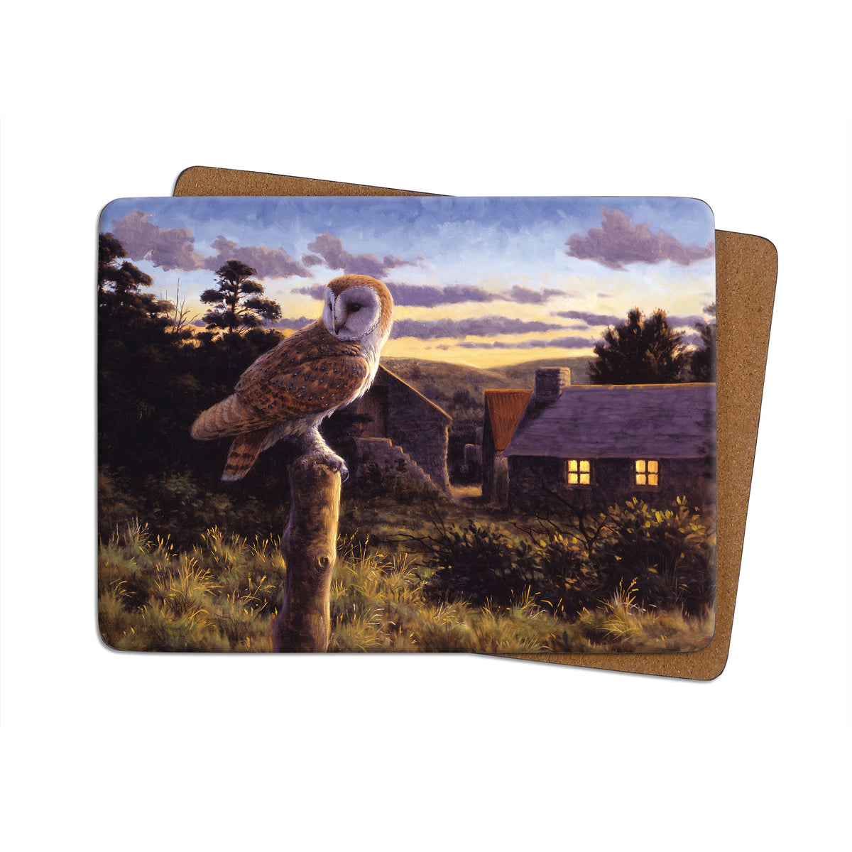 Barn Owl at Dusk Table Mats | Julian Friers – Julian Friers Wildlife Gifts